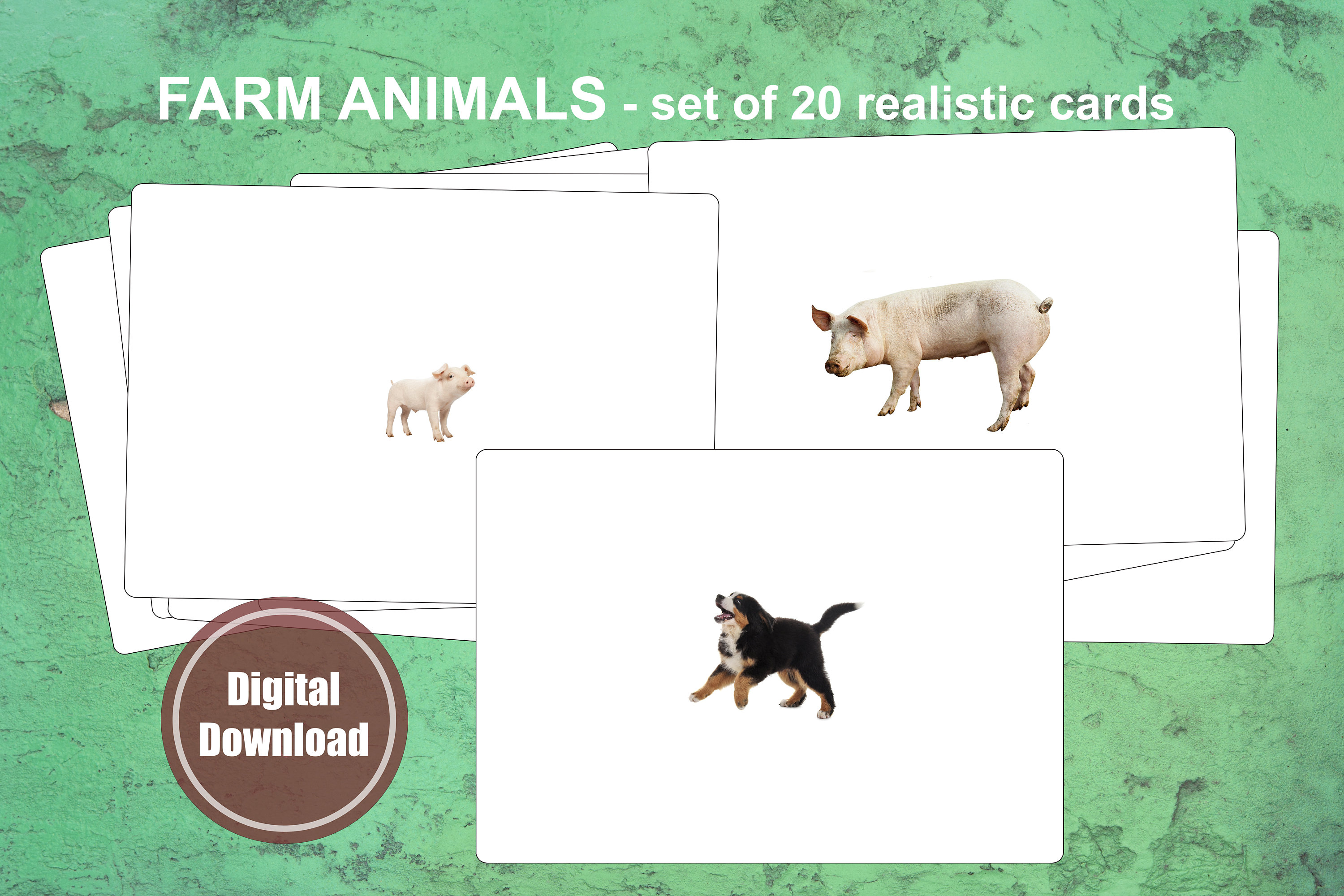 Farm Animals 20 Picture Cards, Printable Cards Preschool, Montessori ...
