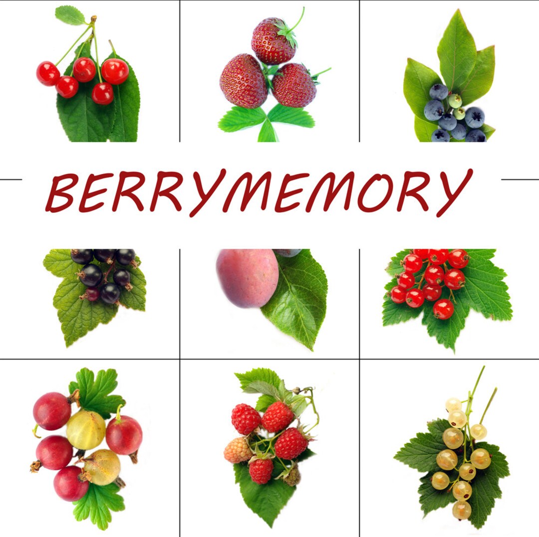 Montessori Memory Game Instant Download, Berry Memory, Berry Pictures ...
