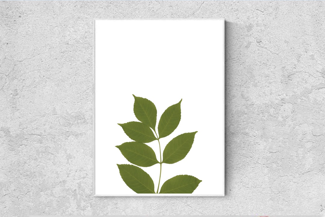 Isolated Green Leaf Digital Print, Leaf Poster, Home Decor, Wall ...