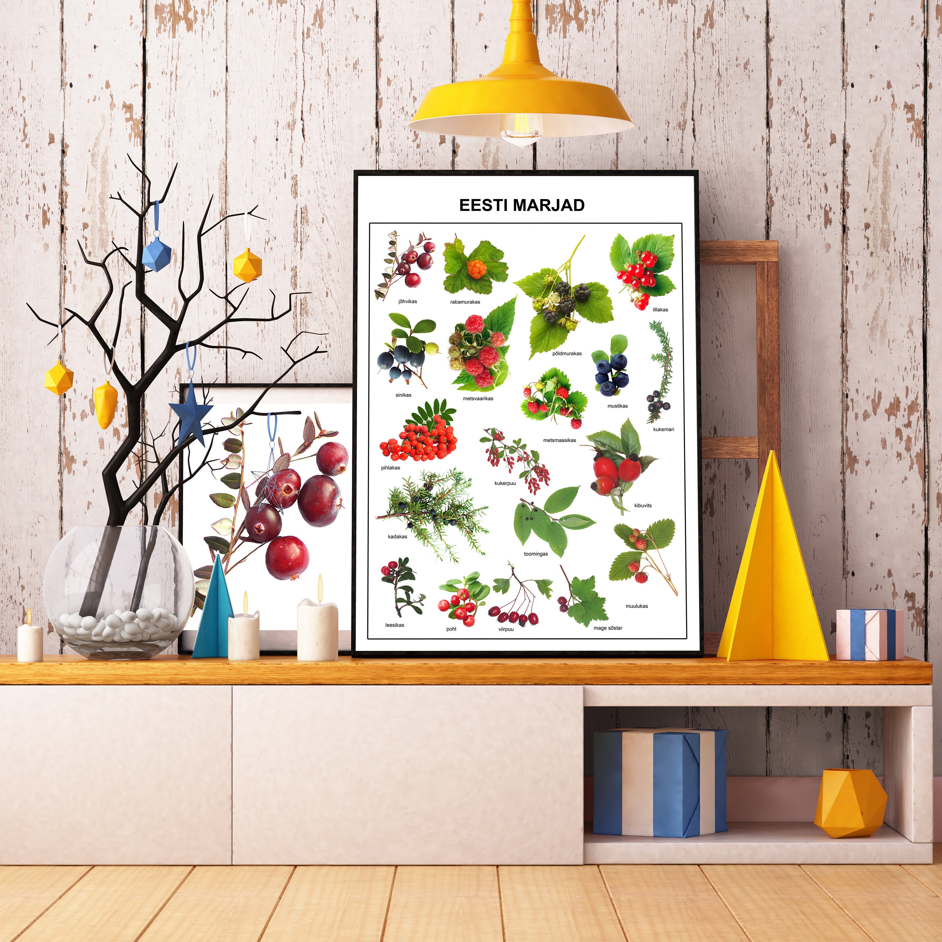 Poster Eesti Metsamarjad, A3 Formaat - Etsy