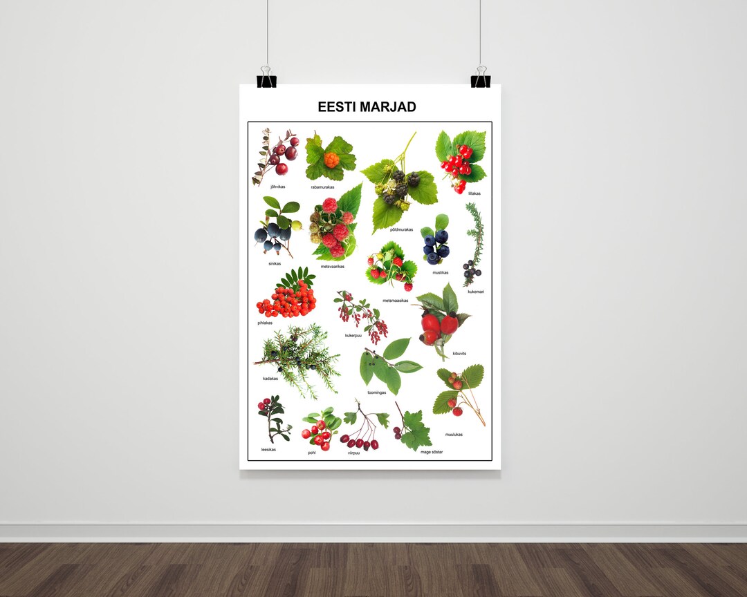 Poster Eesti Metsamarjad, Pdf-fail, Montessori - Etsy