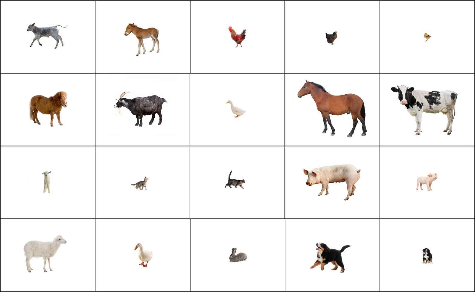 Farm Animals 20 Picture Cards, Printable Cards Preschool, Montessori ...