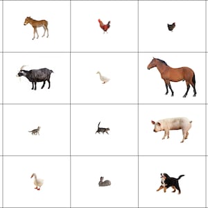 Farm Animals 20 Picture Cards, Printable Cards Preschool, Montessori ...