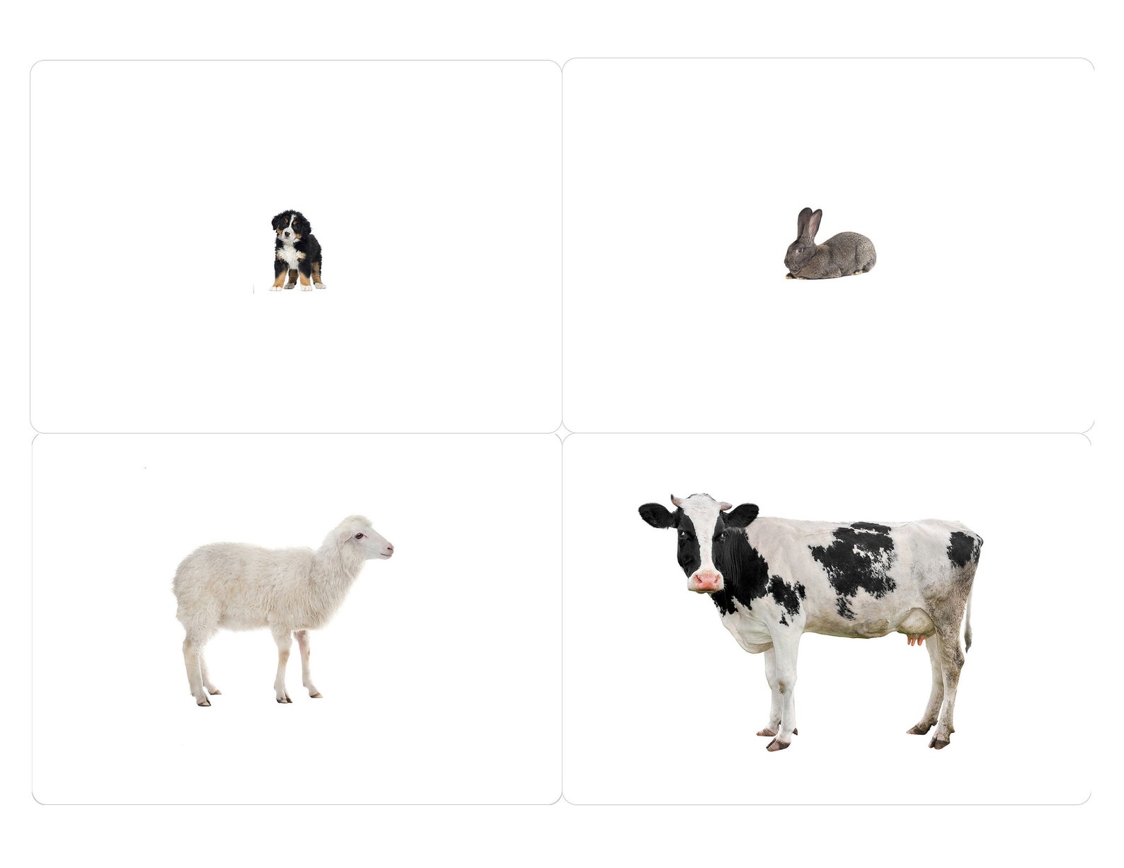 Farm Animals 20 Picture Cards, Printable Cards Preschool, Montessori ...