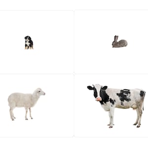 Farm Animals 20 Picture Cards, Printable Cards Preschool, Montessori ...