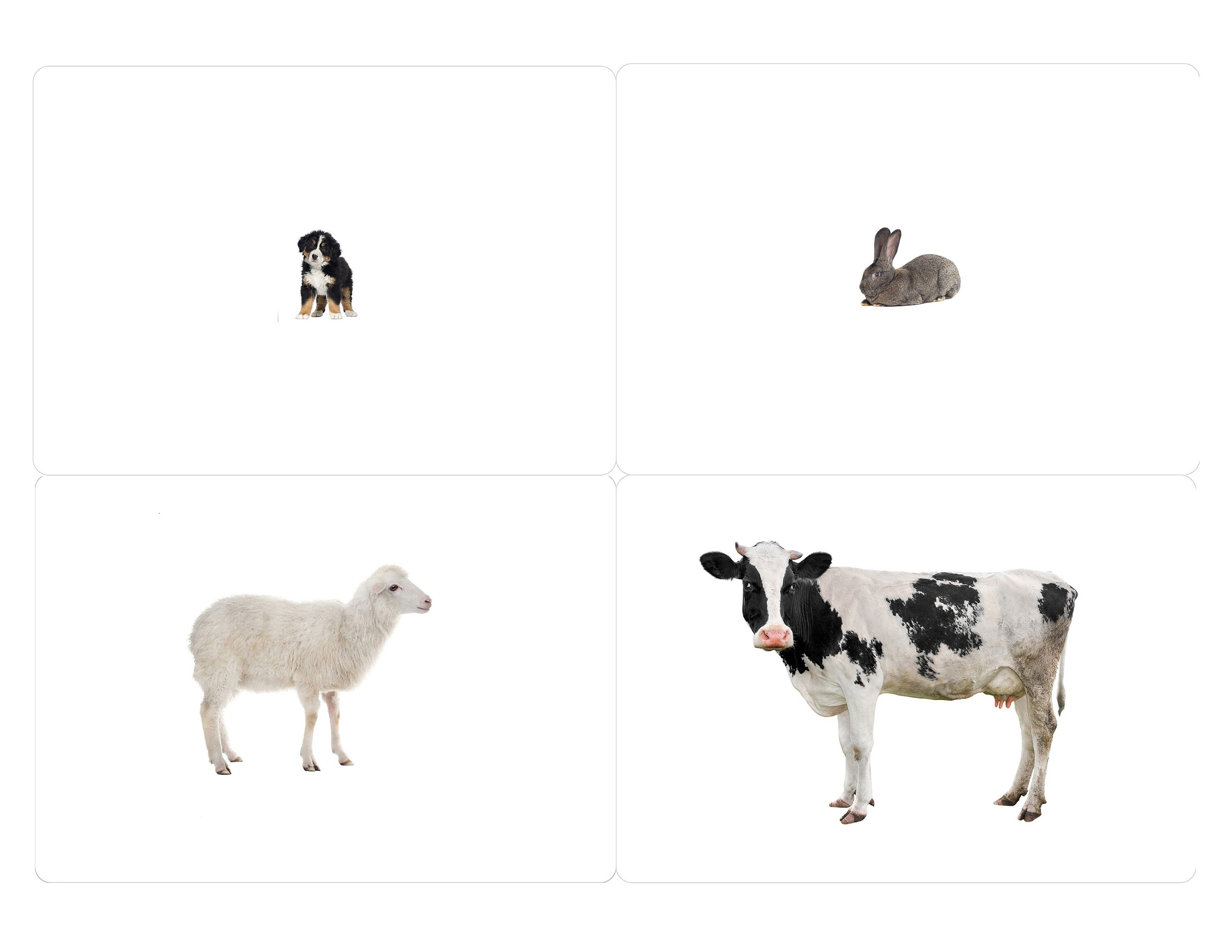 Farm Animals 20 Picture Cards, Printable Cards Preschool, Montessori ...