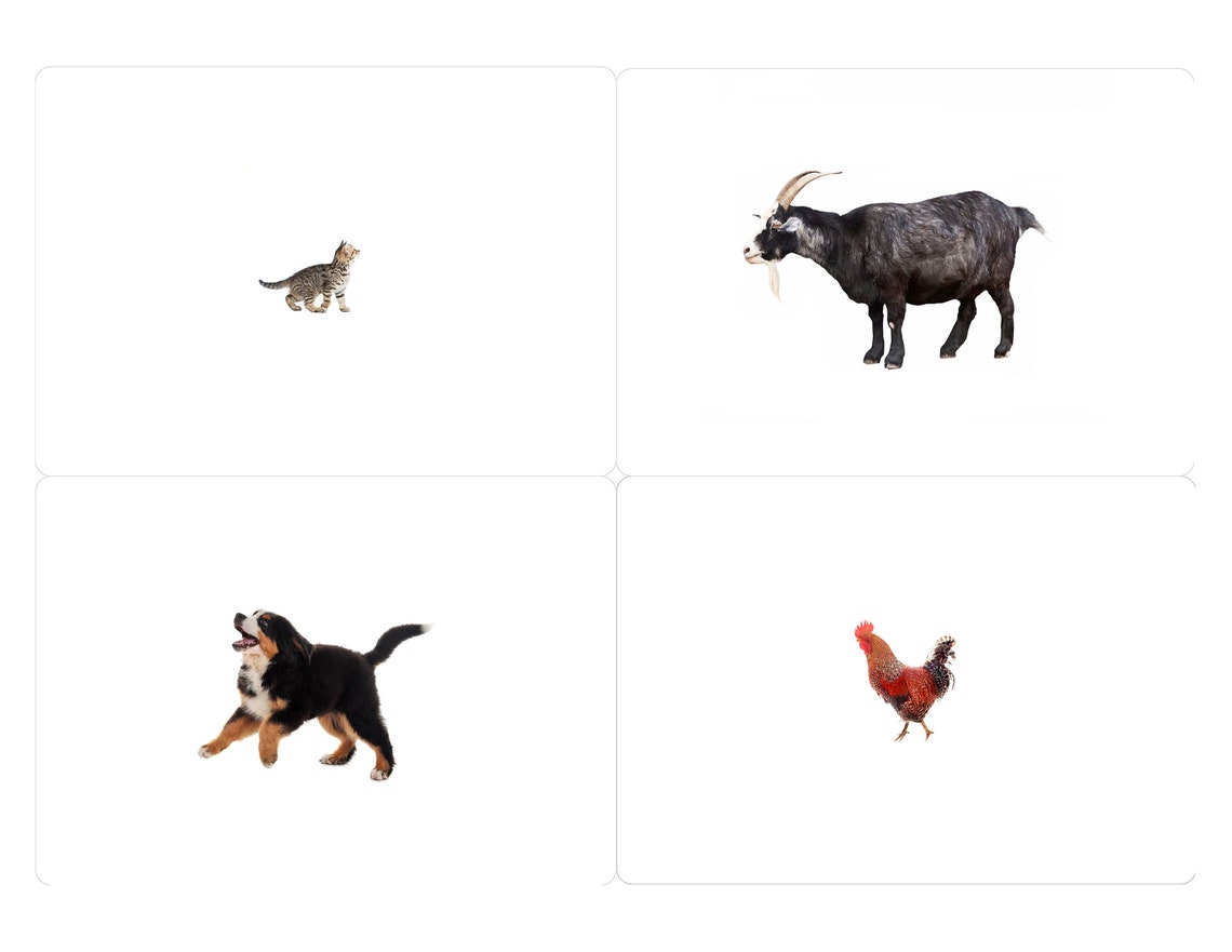 Farm Animals 20 Picture Cards, Printable Cards Preschool, Montessori ...