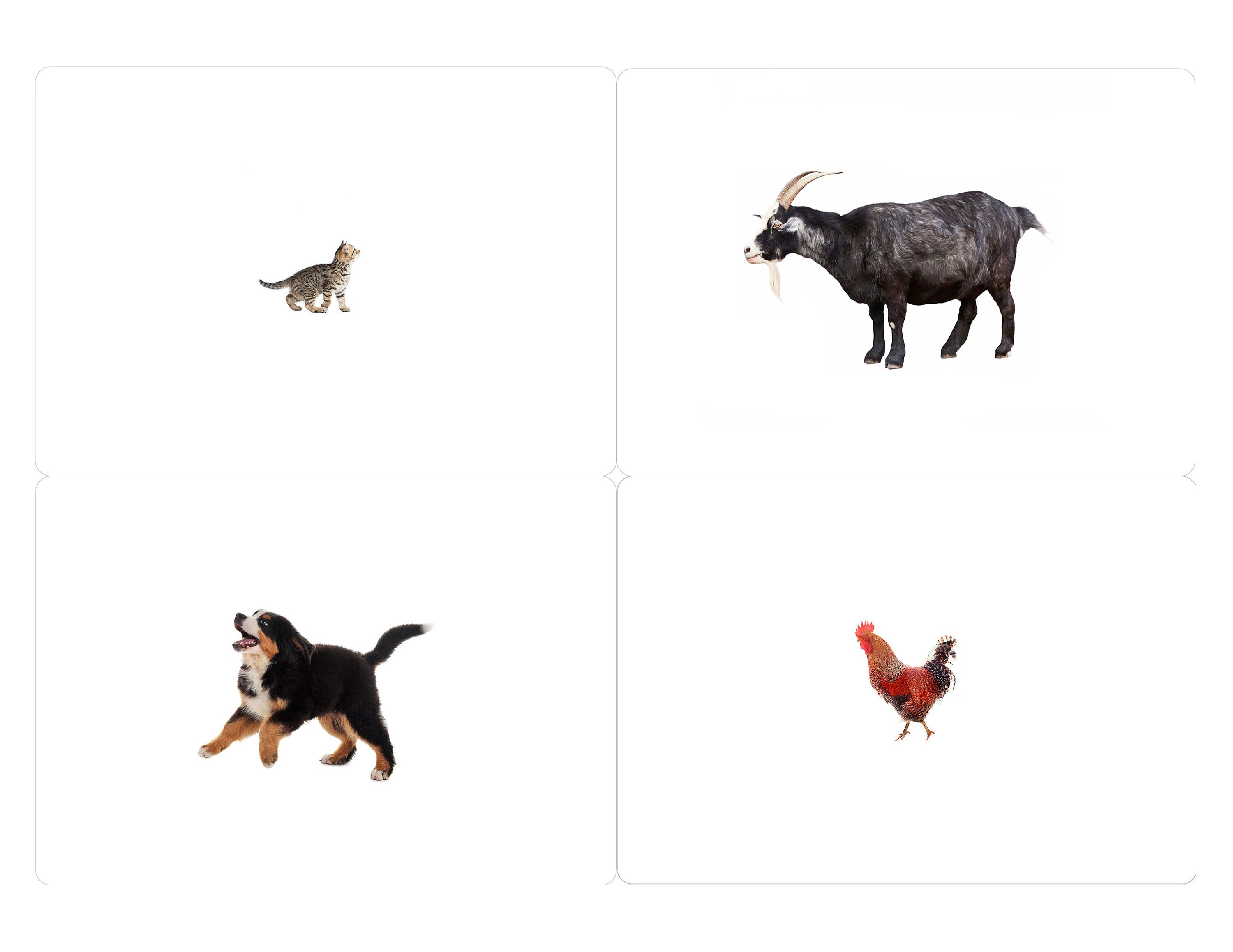 Farm Animals 20 Picture Cards, Printable Cards Preschool, Montessori ...