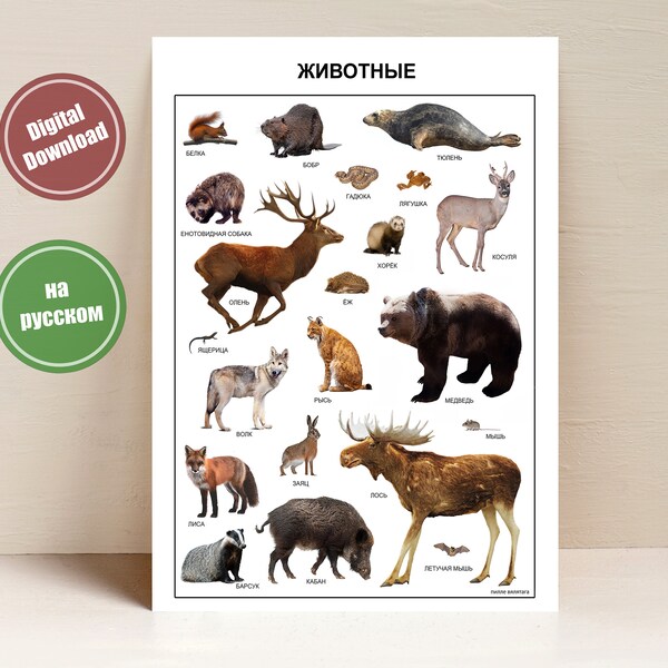 на русском - Etsy