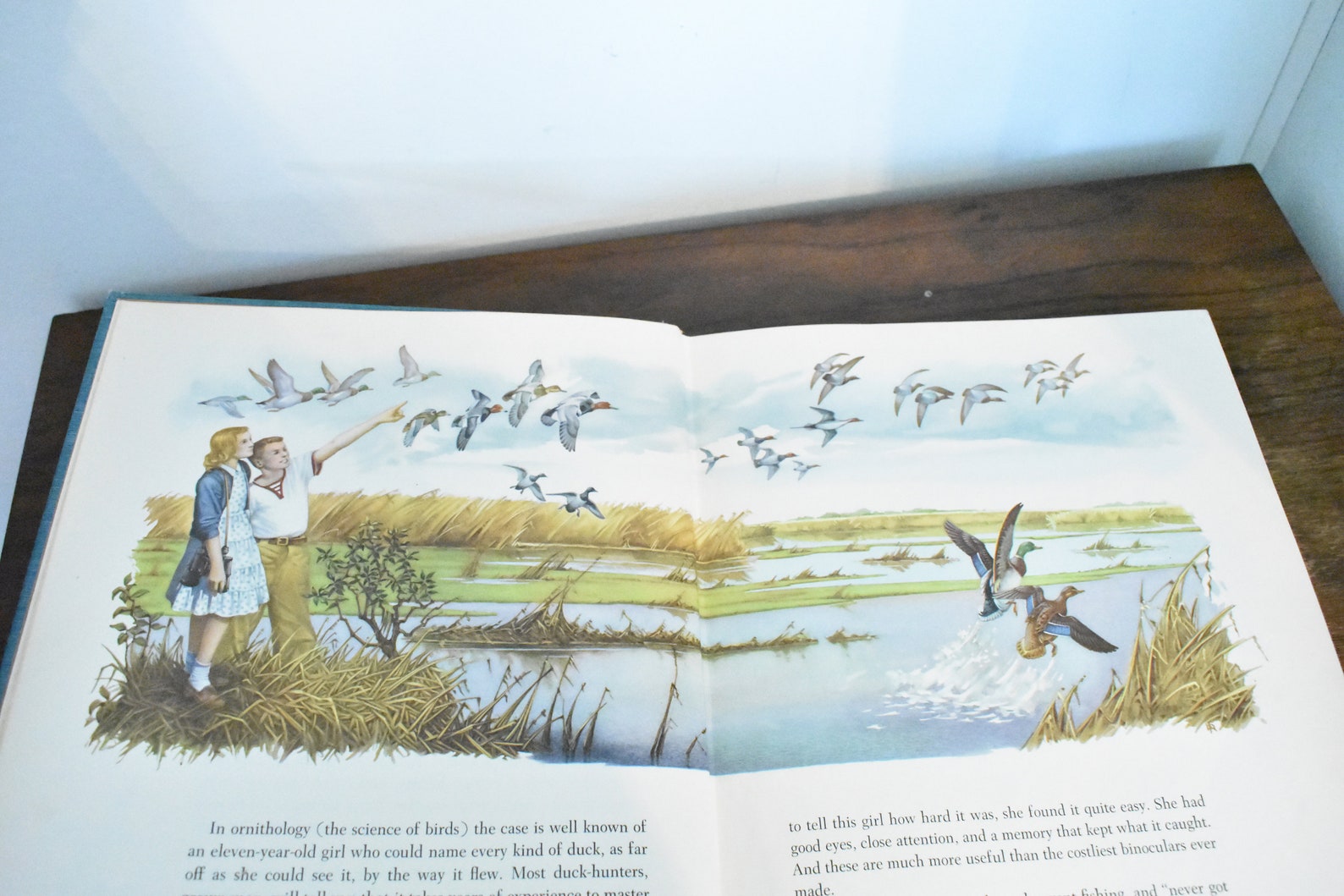 The Rainbow Book of Nature by Donald Culross Peattie // 1957 - Etsy