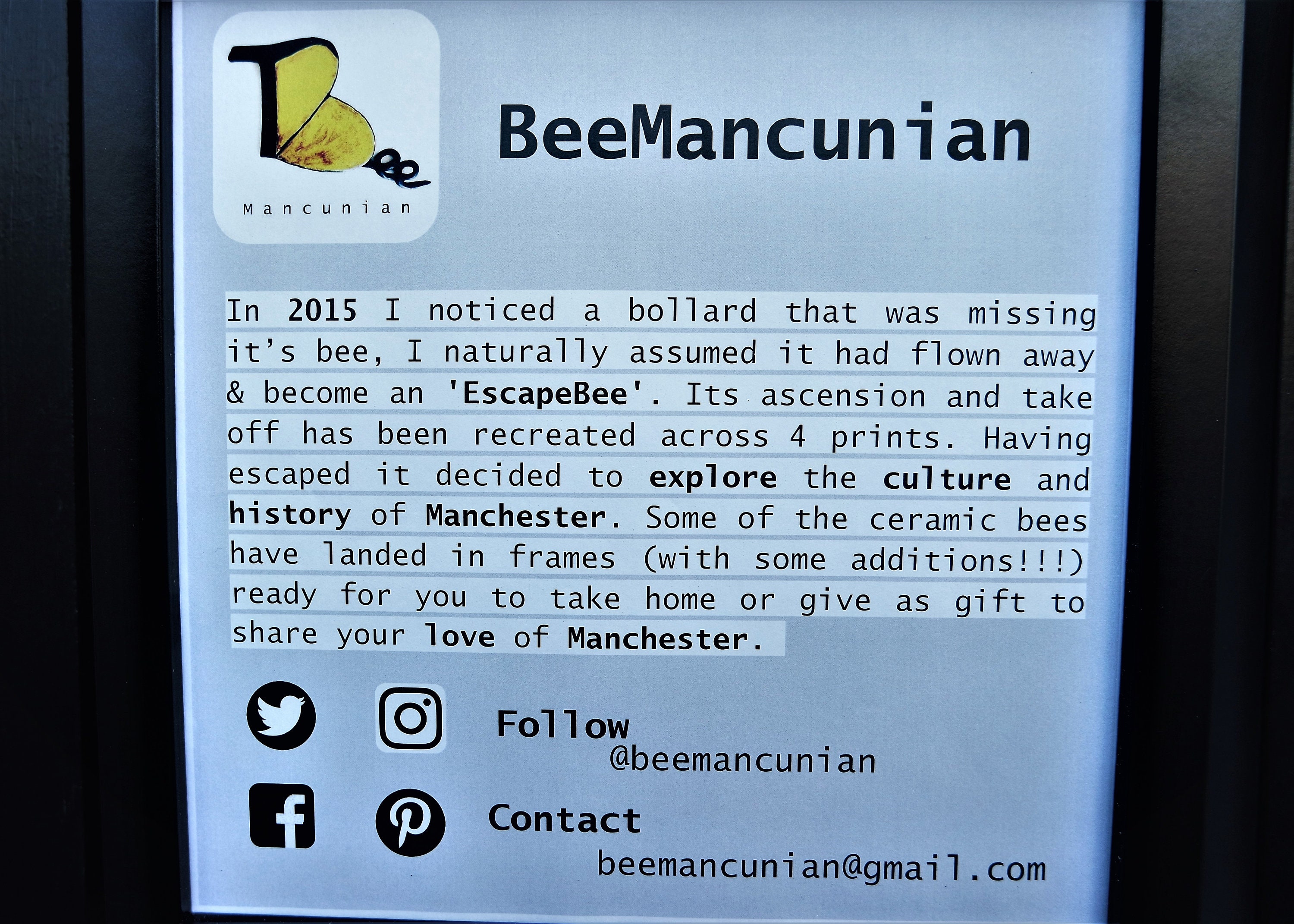 I Wanna Bee Adored | Etsy