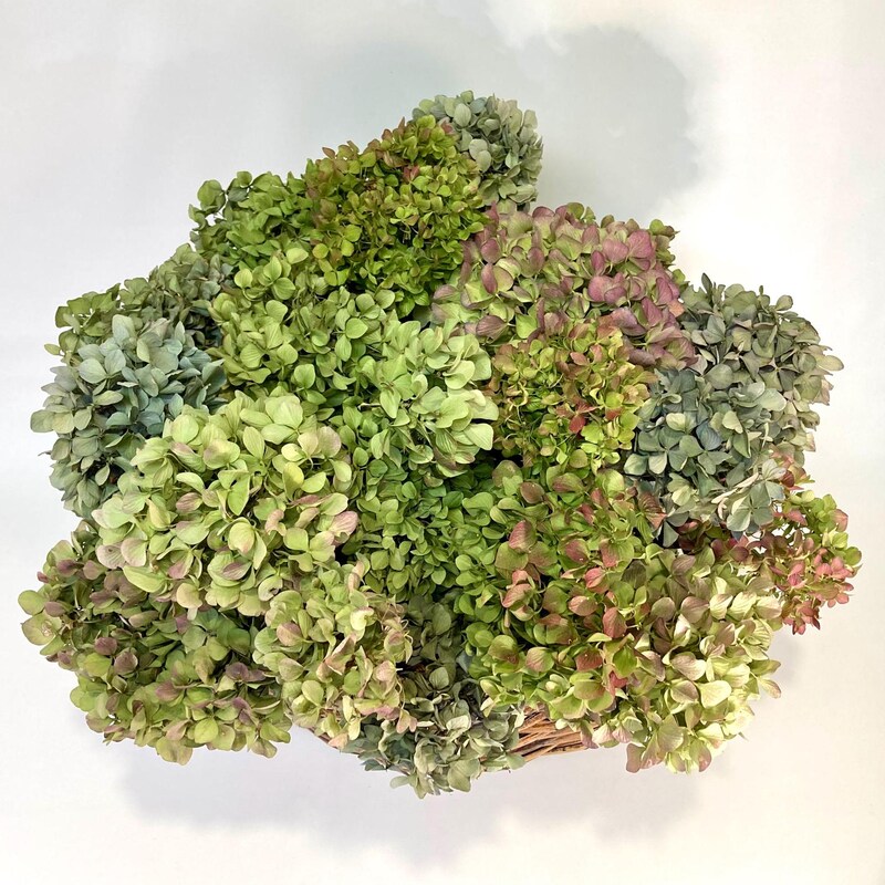 Hydrangea Soap - Etsy