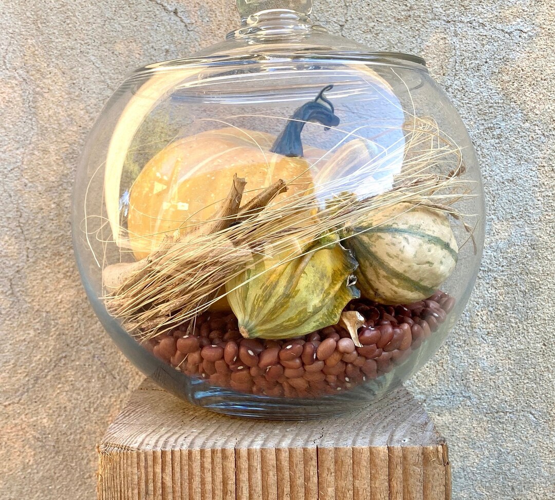 Autumn Curio Fish Bowl | Pumpkin Gourds Dried Pods Wheat Grass Beans ...