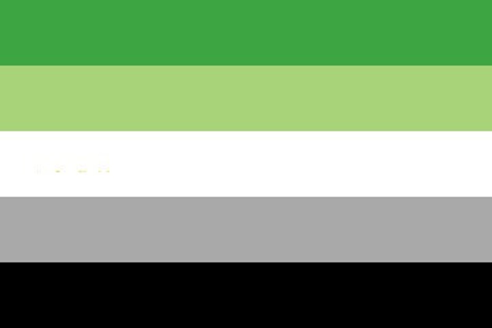Aromantic Pride Flag Hand-sewn Aromantic Flag Custom Sizes - Etsy
