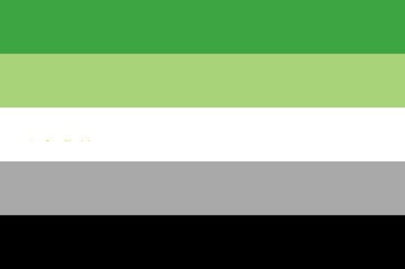 Aromantic Pride Flag Hand-sewn Aromantic Flag Custom Sizes - Etsy
