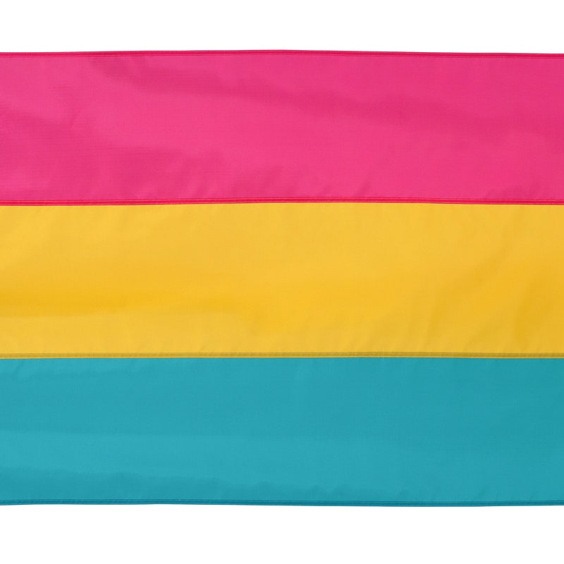 Pansexual Flag - Etsy
