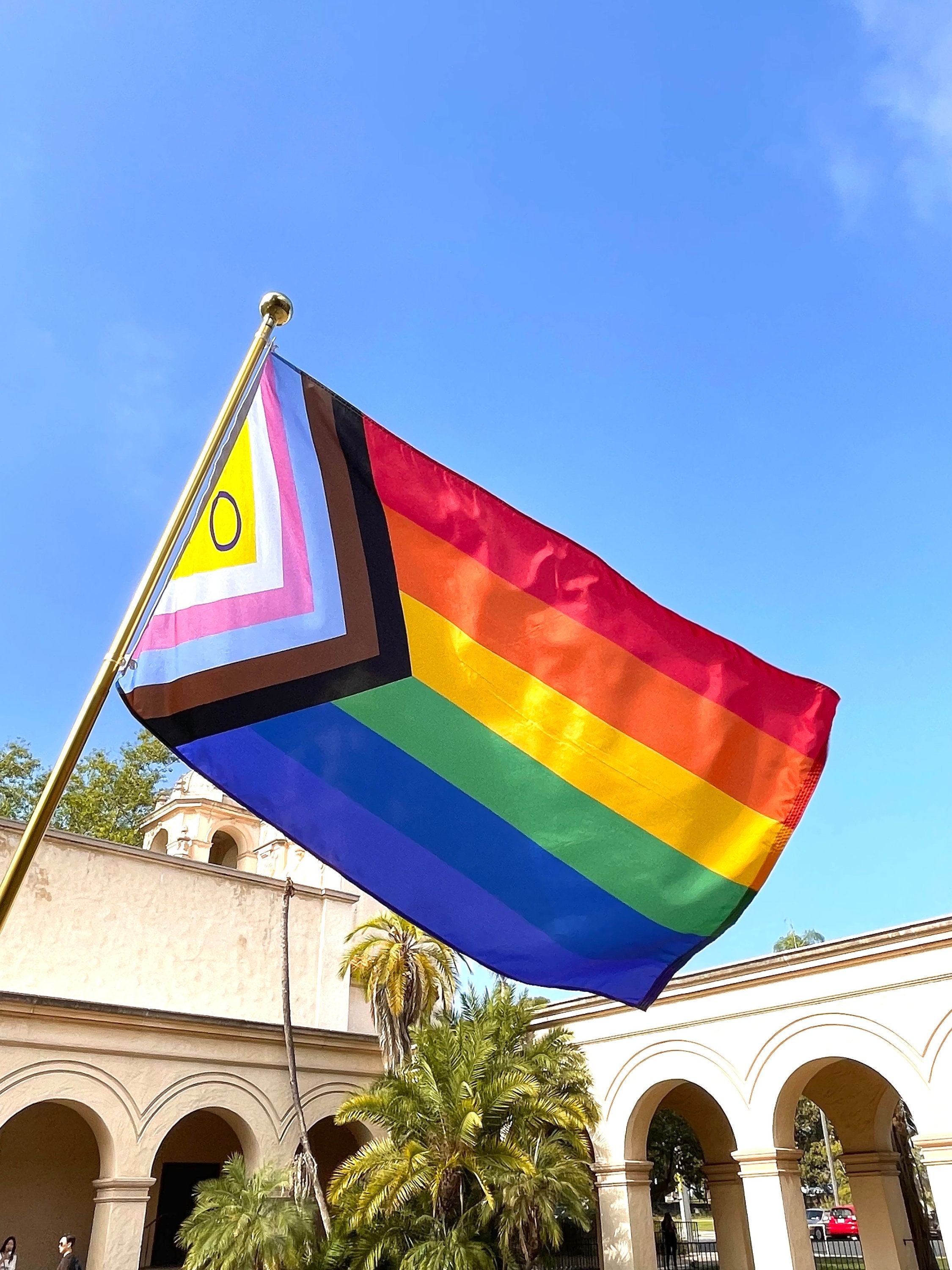 3'x5' Intersex Inclusive Progress Pride Flag - Digitally Printed ...