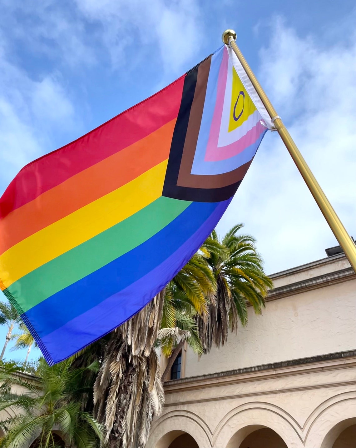 3'x5' Intersex Inclusive Progress Pride Flag - Etsy