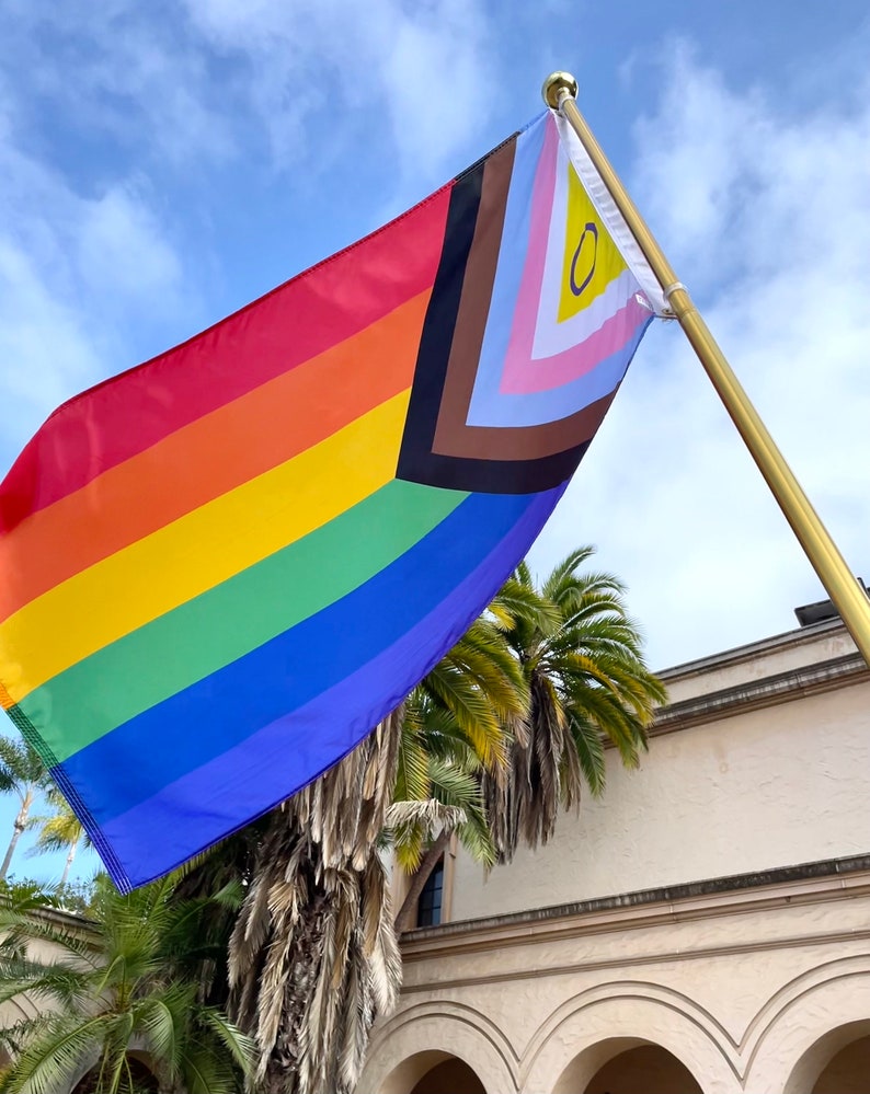 3'x5' Intersex Inclusive Progress Pride Flag - Digitally Printed Limited Edition ** Licensed - Etsy