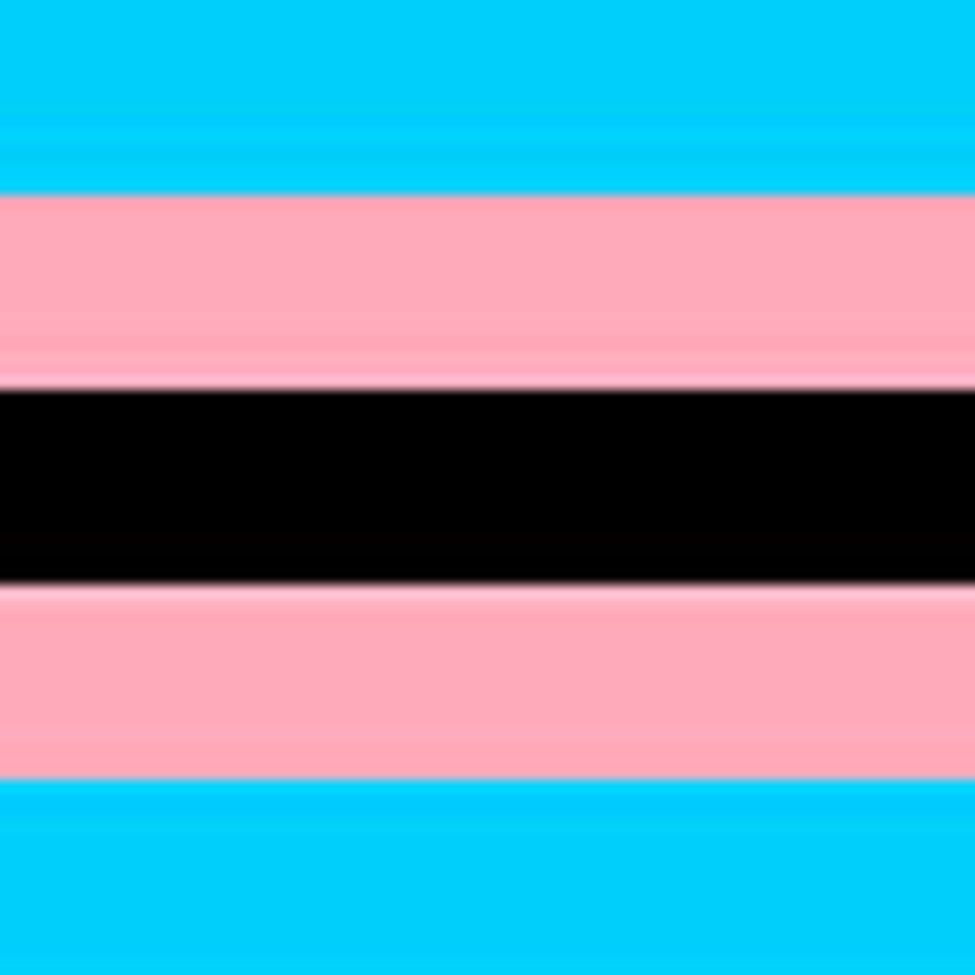 Transgender Pride Flag 3' X 5' Flag Blue Pink and - Etsy