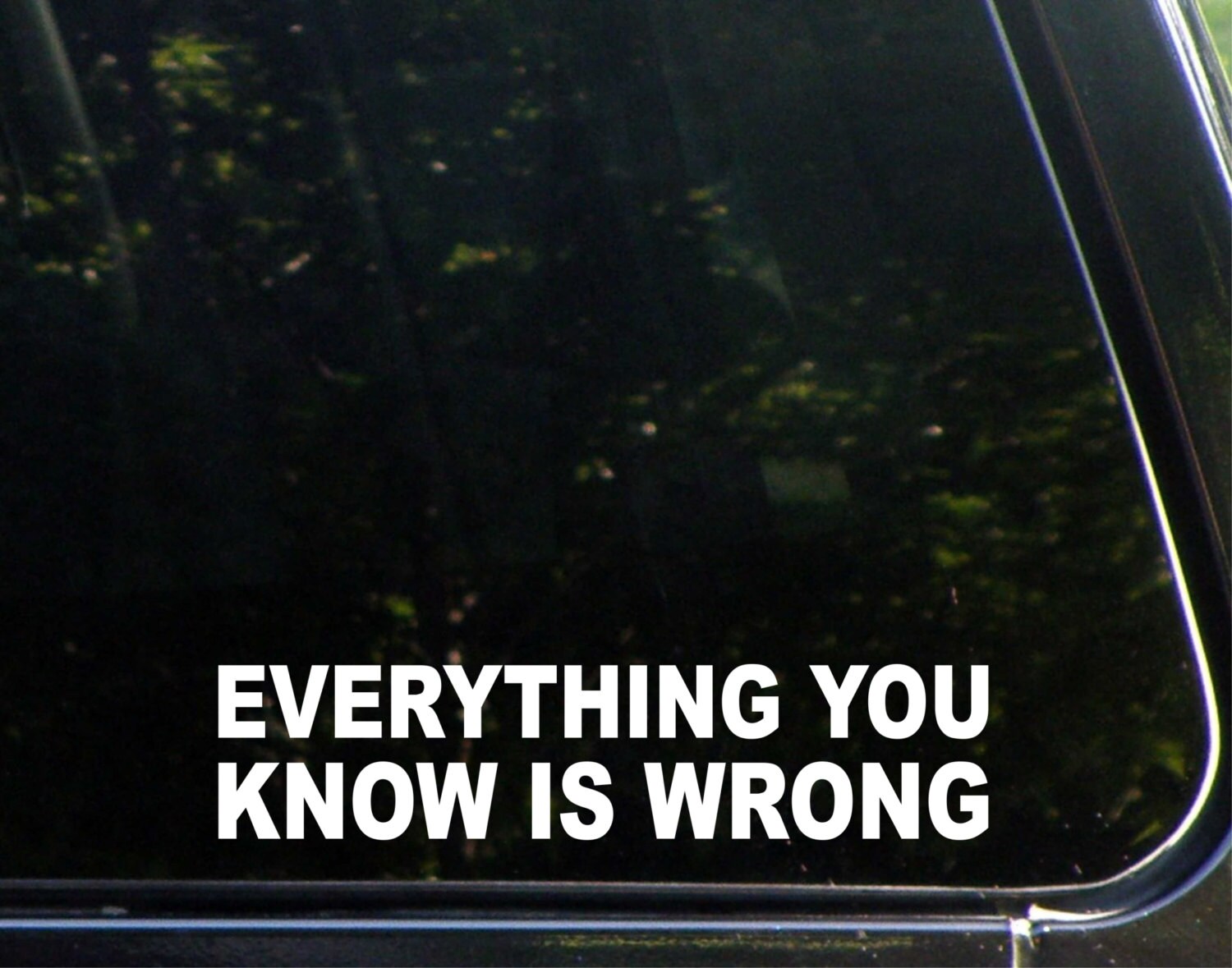 Everything You Know is Wrong Custom Vinyl Decal/ Sticker for Windows ...
