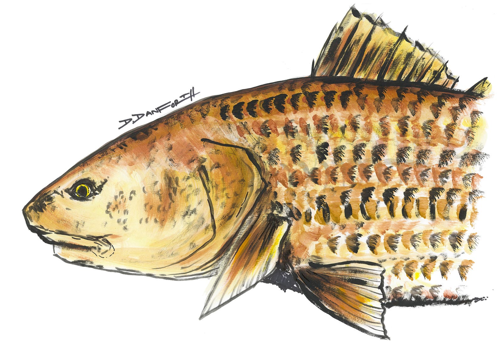 Redfish 2 Piece Set 12x18 | Etsy