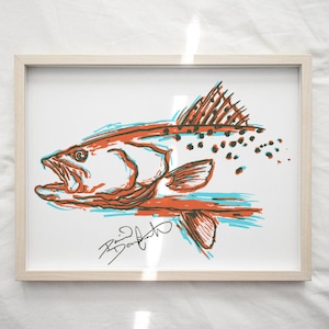 SPECKLED TROUT - Paper Print - Etsy