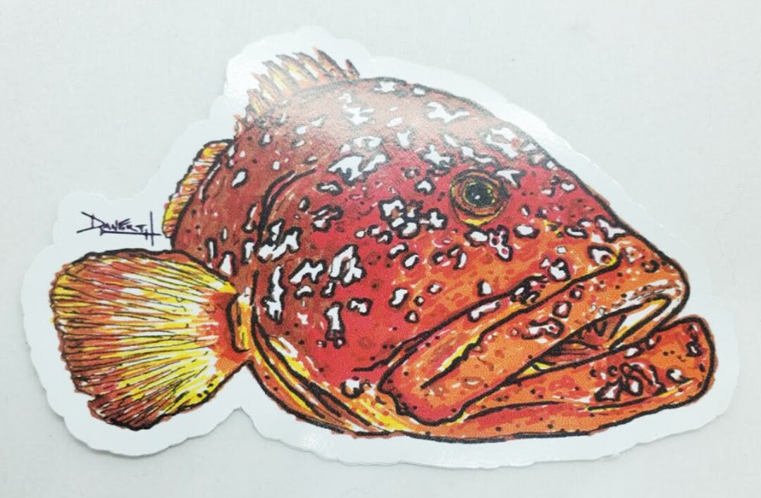 Strawberry Grouper - Sticker - Etsy
