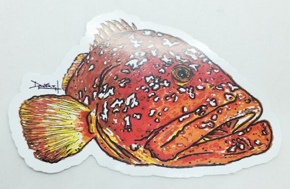 Strawberry Grouper Sticker - Etsy