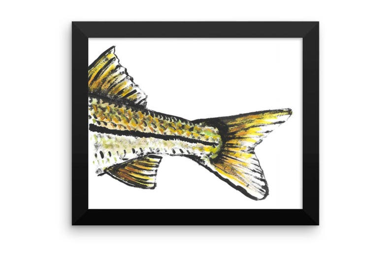 Snook Artwork Trio 12x18 - Etsy