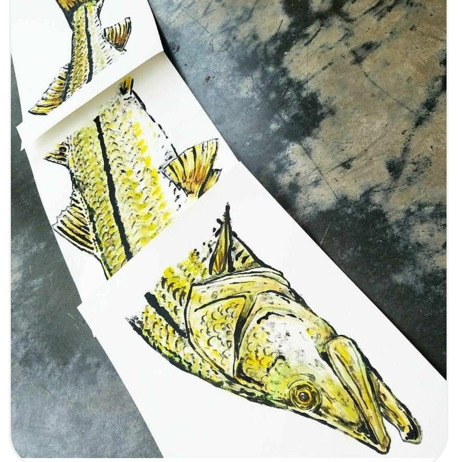 Snook Artwork Trio 12x18 - Etsy