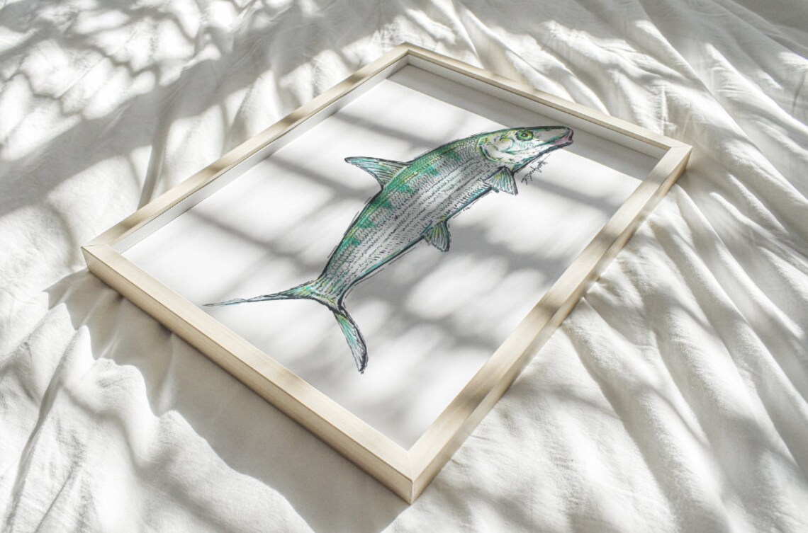 BONEFISH COLOR PENCIL Paper Print - Etsy