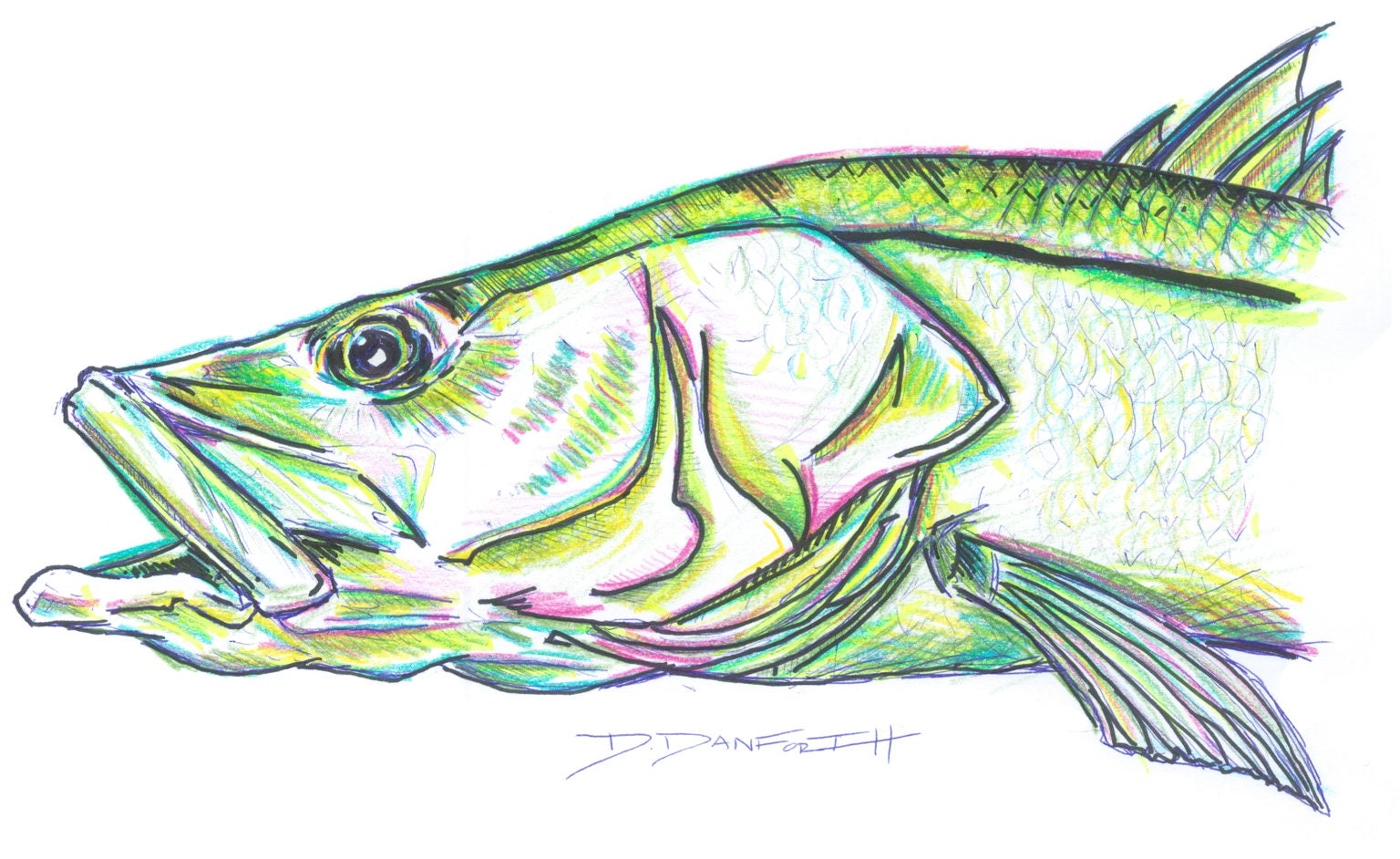 Snook Drawing Jumping