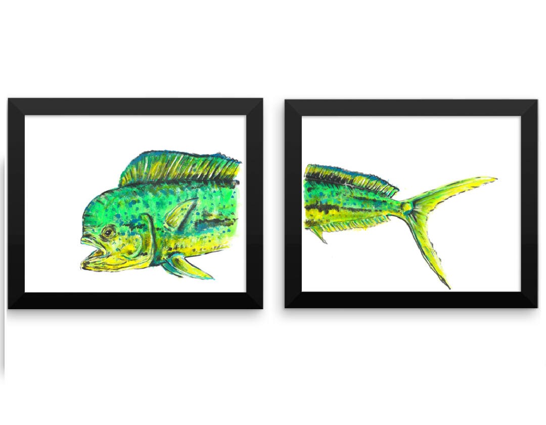 Mahi Mahi Art Print Set 12x18 - Etsy