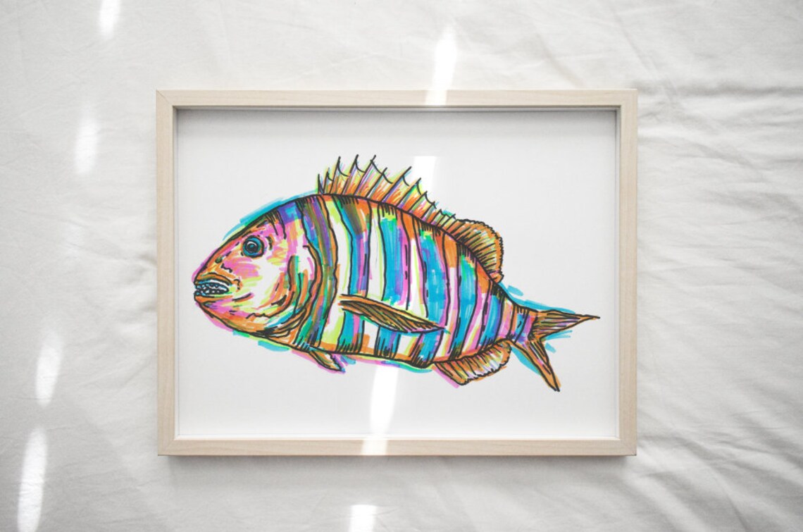 NEON SHEEPSHEAD - Paper Print - Etsy