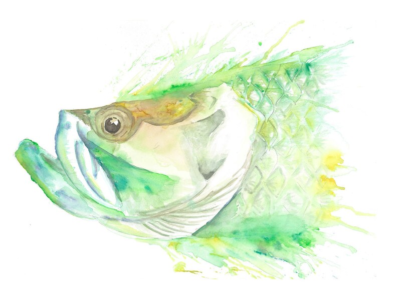 Tarpon Water Color - Etsy