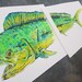 Mahi Mahi Art Print Set 12x18 - Etsy