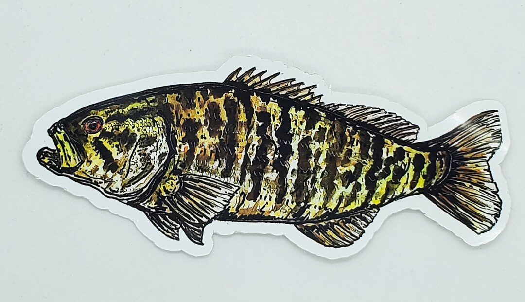 Small Mouth Bass- Sticker - Etsy