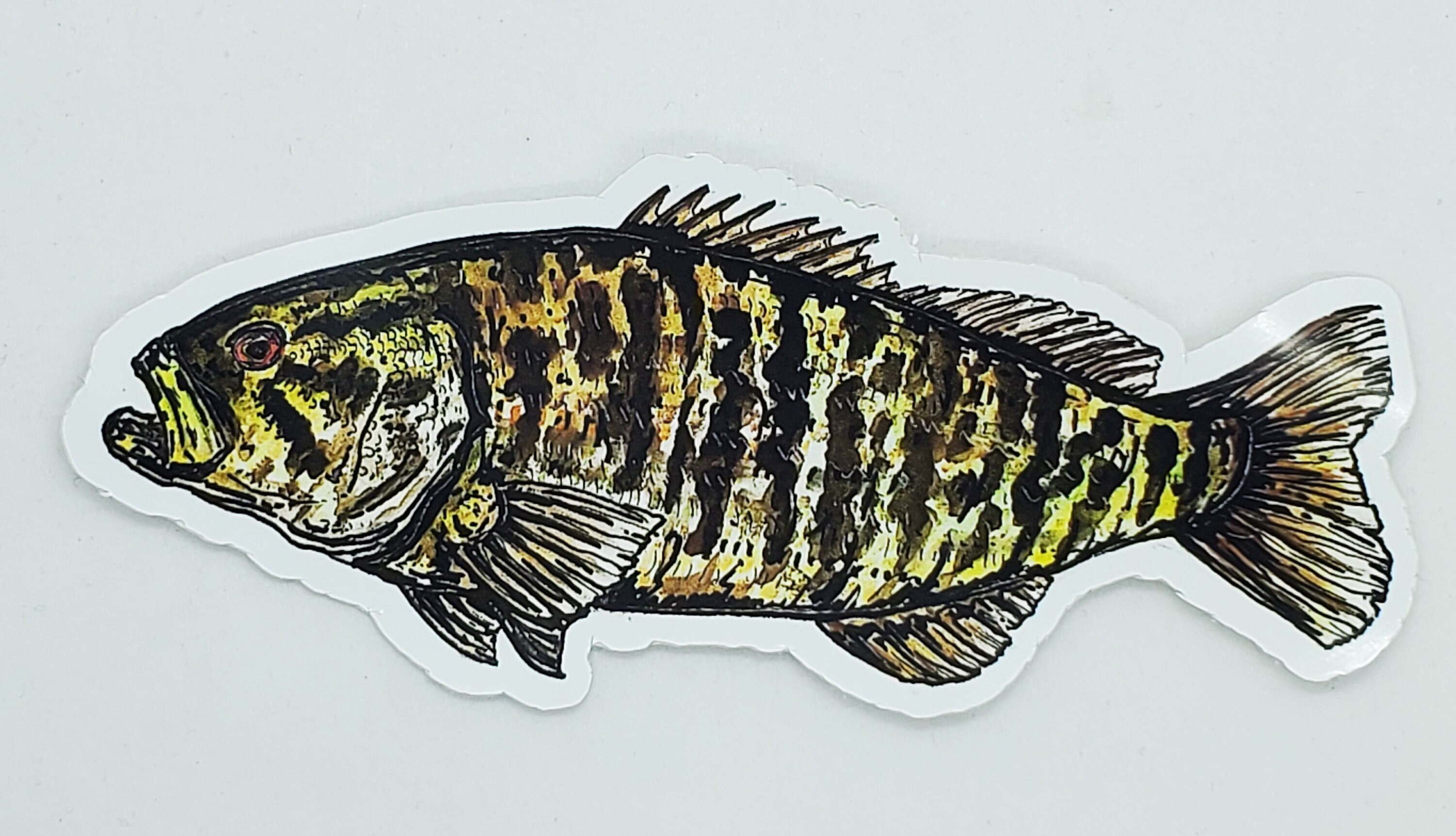 Small Mouth Bass Sticker - Etsy