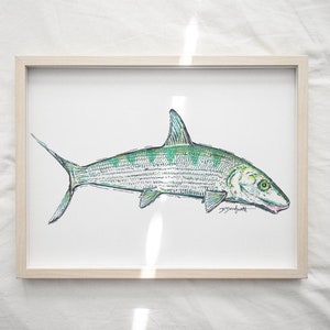 BONEFISH COLOR PENCIL - Paper Print - Etsy