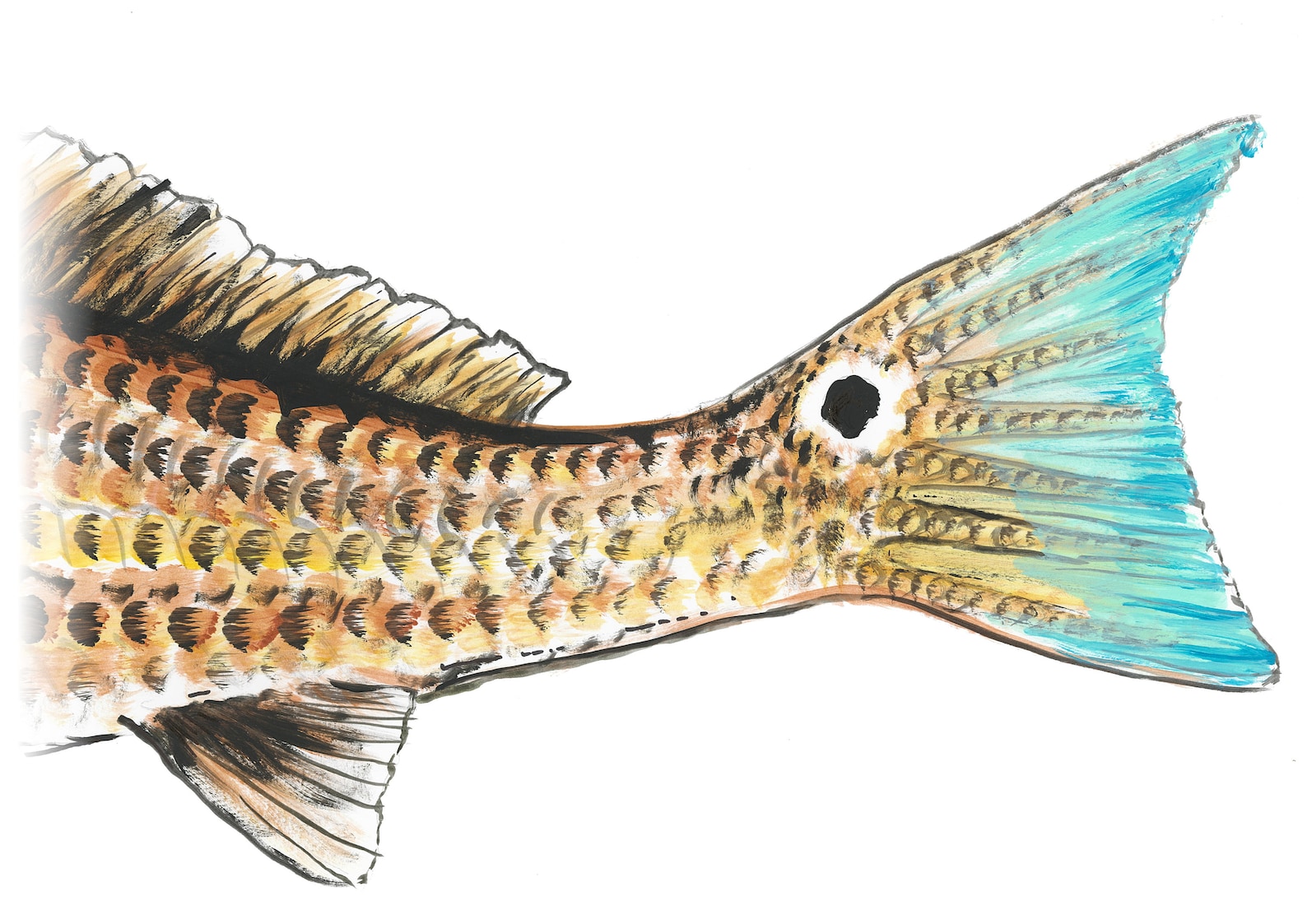 Redfish 2 Piece Set 12x18 | Etsy