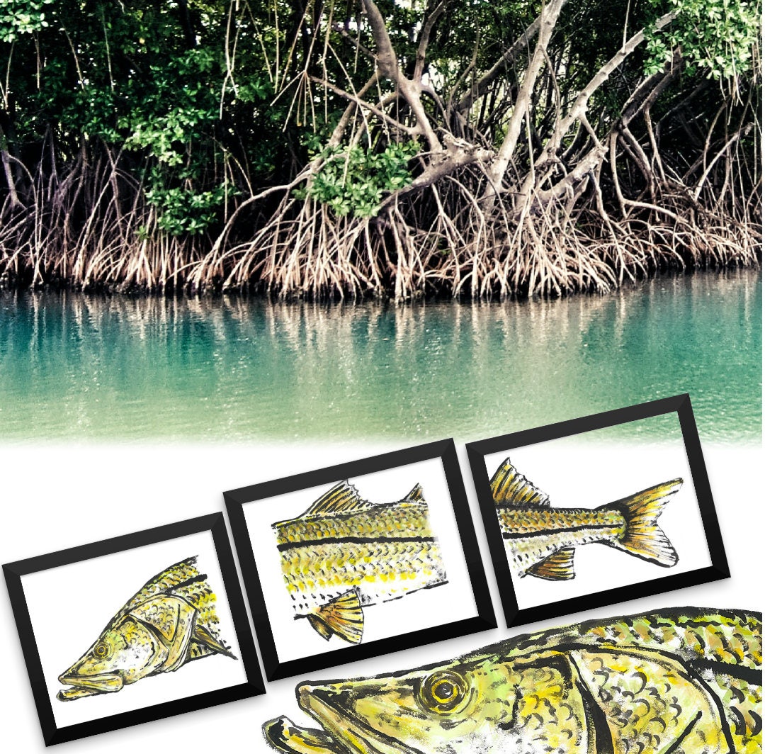 Snook Artwork Trio 12x18 - Etsy