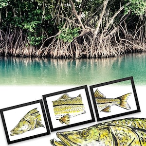 Snook Artwork Trio 12x18 - Etsy