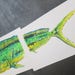 Mahi Mahi Art Print Set 12x18 - Etsy