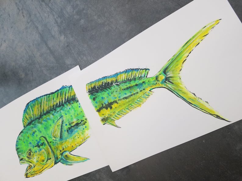 Mahi Mahi Art Print Set 12x18 - Etsy