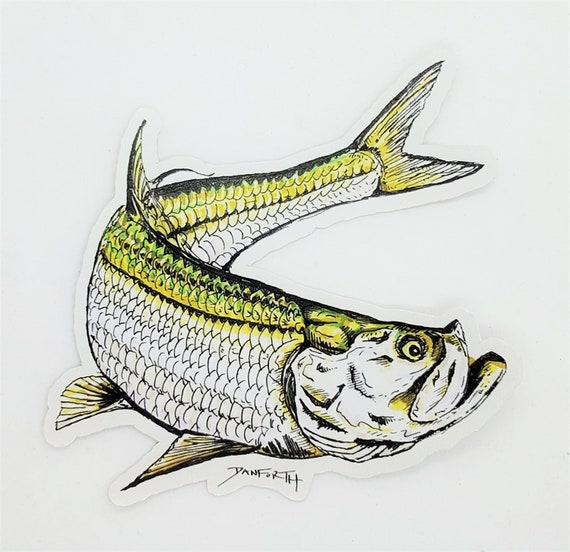 Tarpon Jumping Drawing