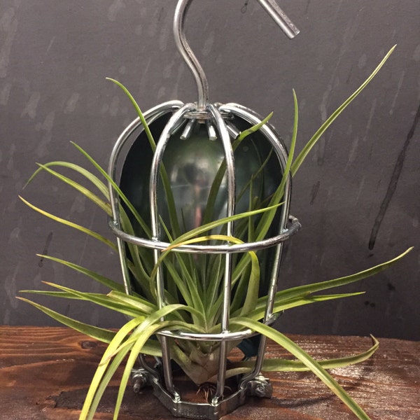 Bulb Cage - Etsy