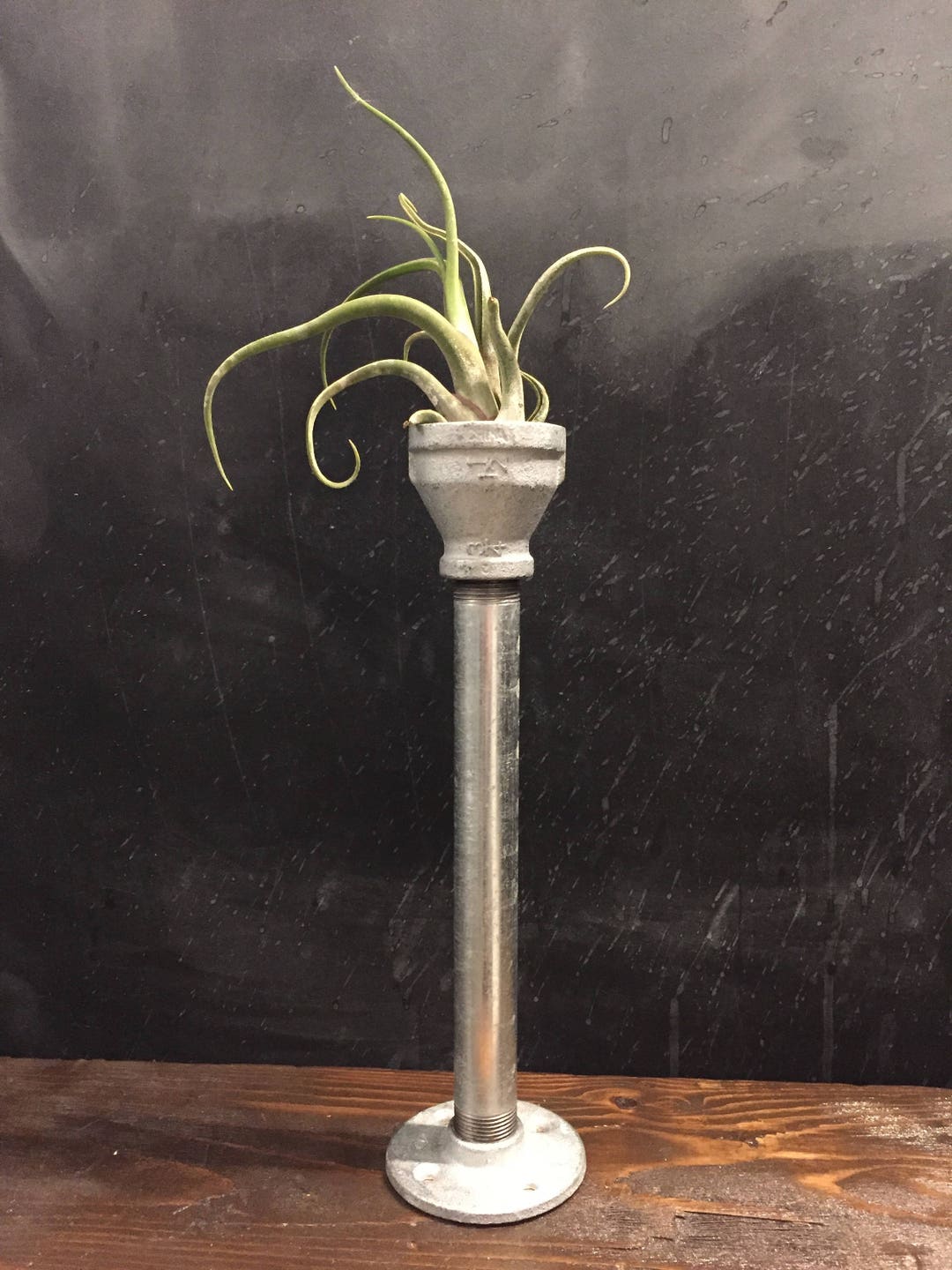 Air Plant Industrial Styled Stand With 1.5" Wide Top, 10" Upright ...