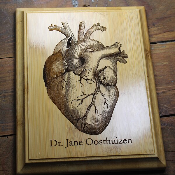 Anatomical Heart Art - Etsy