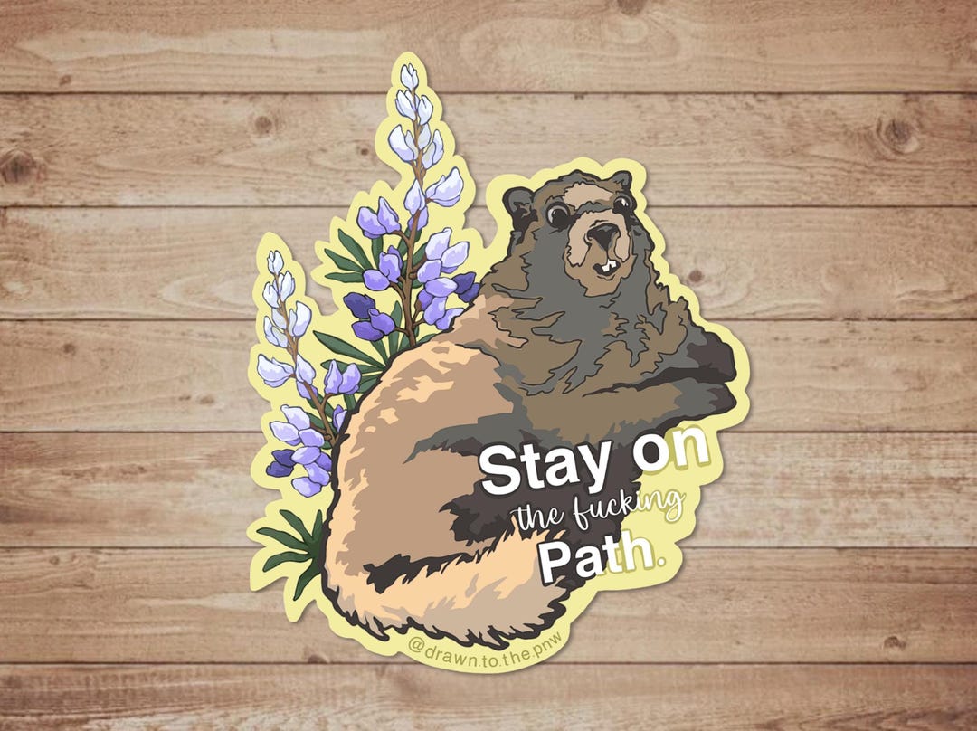 Leave No Trace Sticker - Pathway Marmot - Etsy